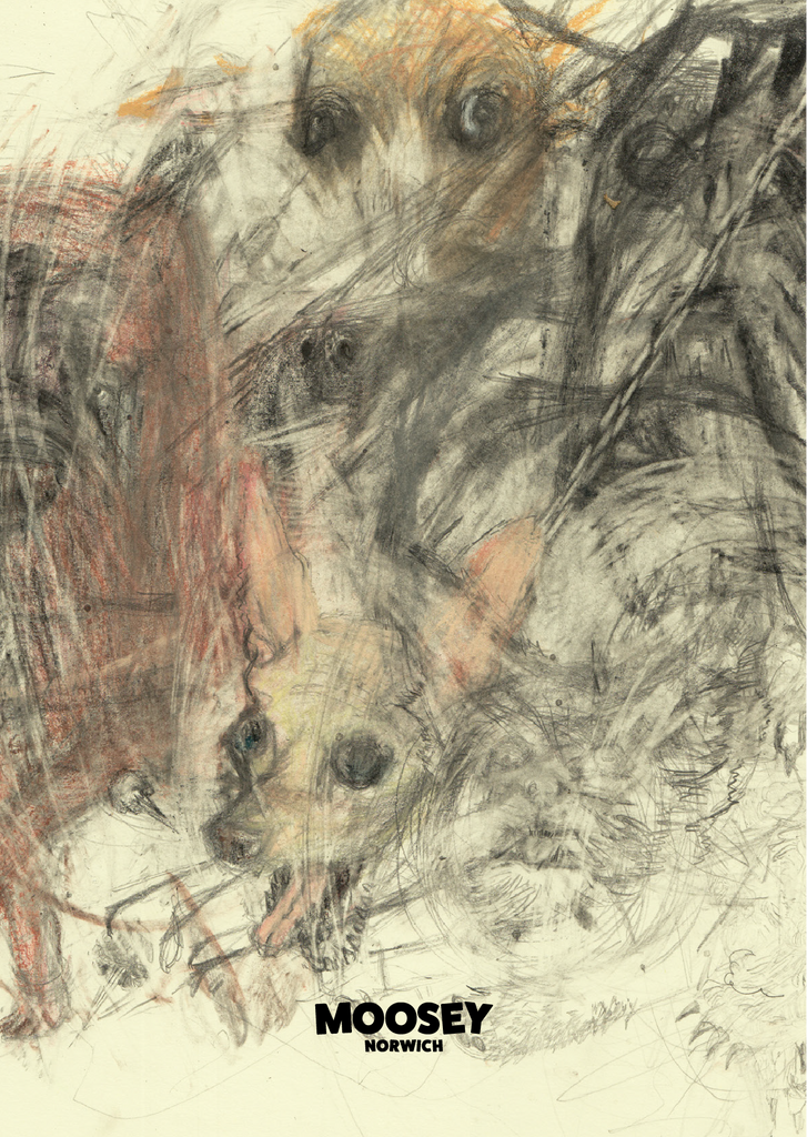 'Choses' by Léo Forest