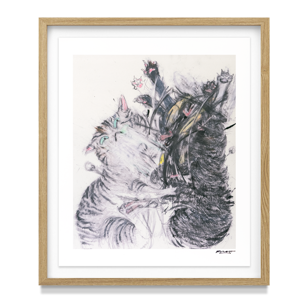 'Cats Fight 6'